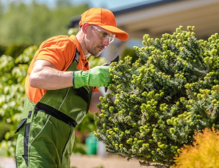 Home Scattolini - Scattolini